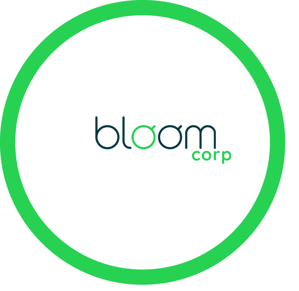 Bloom EDU - EN - bloom media house